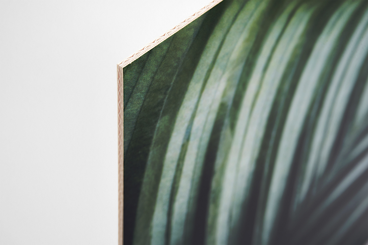 Sustainable Signage: 8 Substrates for Planet-Friendly Printing